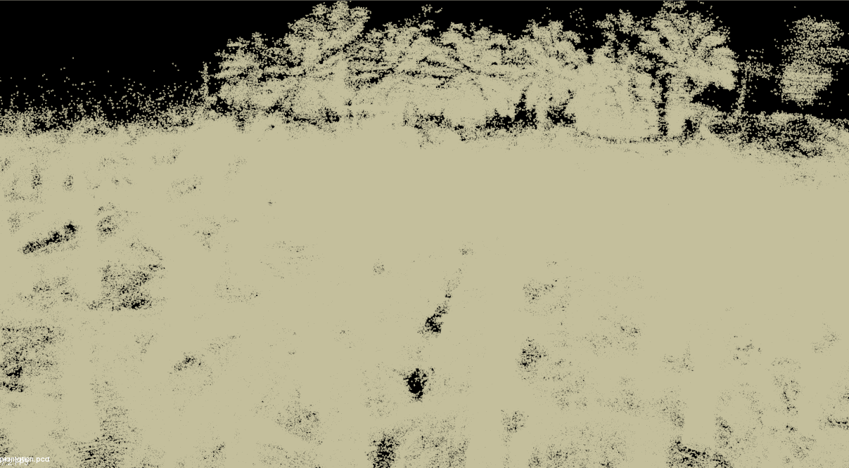 GitHub - tshiamor/plantation: work on pointclouds captured from a plantation