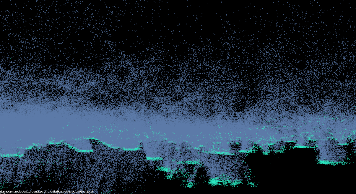 GitHub - tshiamor/plantation: work on pointclouds captured from a plantation
