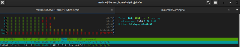 Jellyfin-MPV-Shim causes 100% CPU usage on the server and slows the Web ...