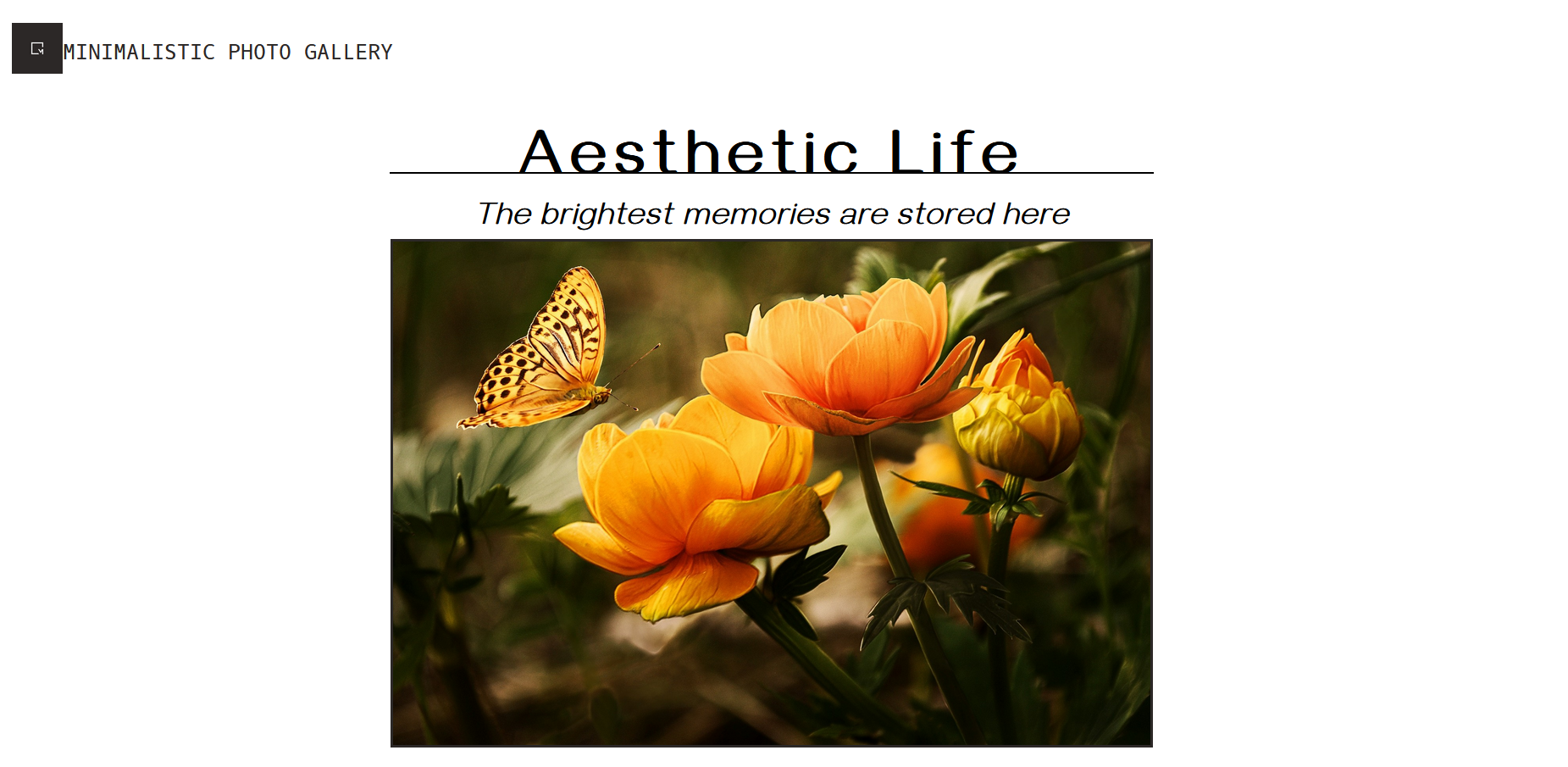 GitHub - natakra/Minimalistic-Photo-Gallery