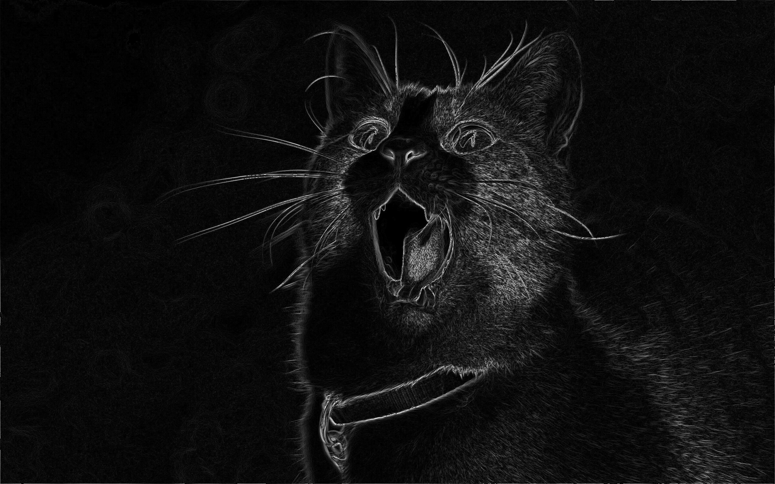 GitHub - avel0041/SobelFilter: Фильтр Собеля для выявления границ ...
