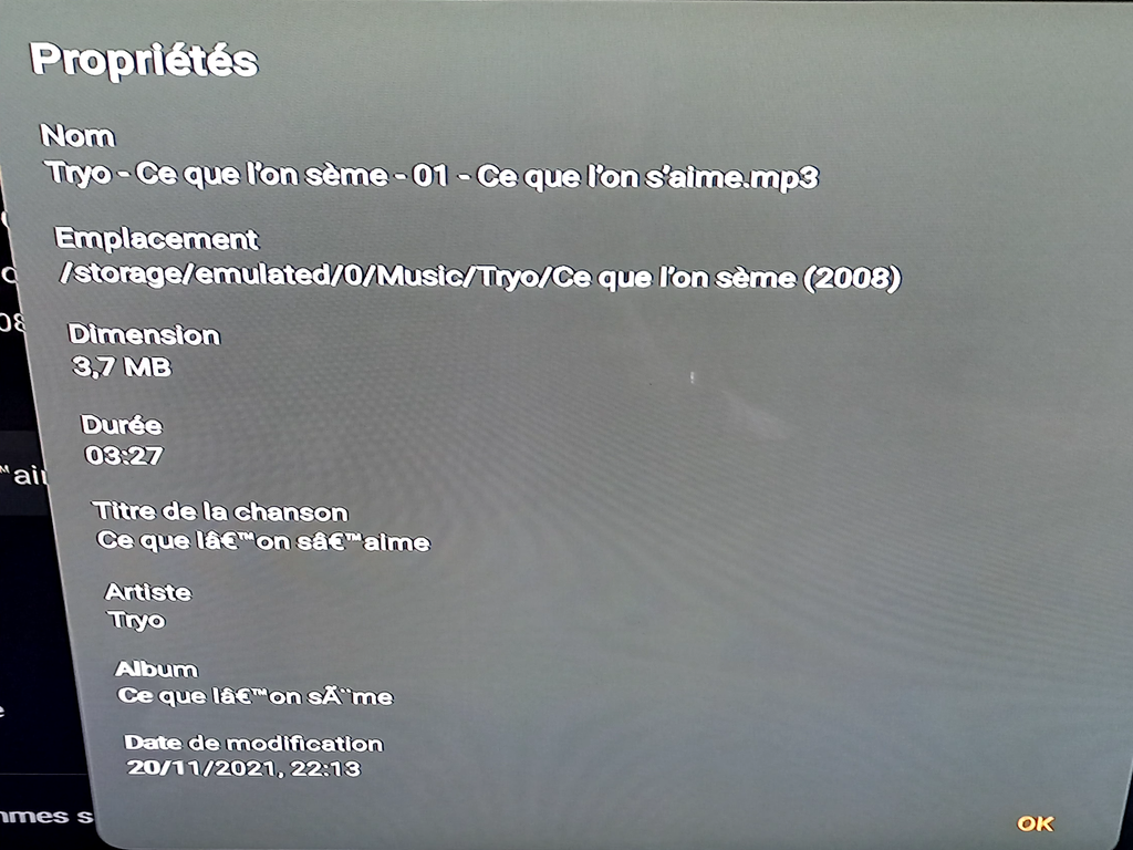 Accent in files names or tag are not properly encoded/displayed · Issue #362 · SimpleMobileTools ...