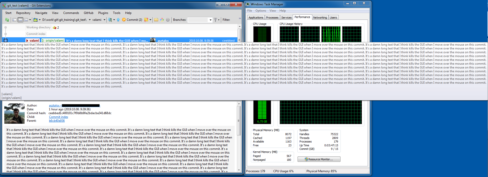 Long commit text freeze the GUI for seconds when mouse over a commit ...