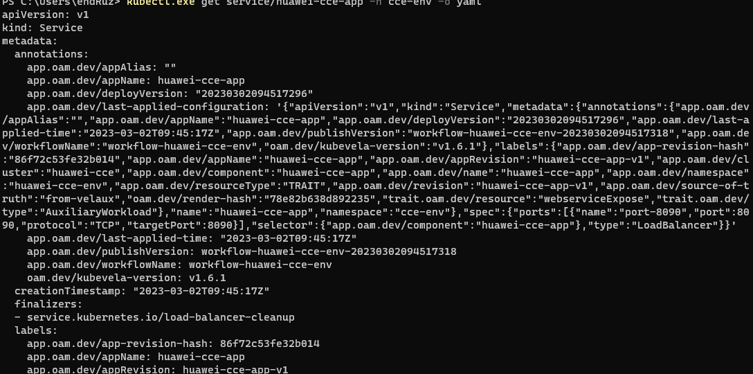 Service does not support custom annotation · Issue #5605 · kubevela/kubevela · GitHub