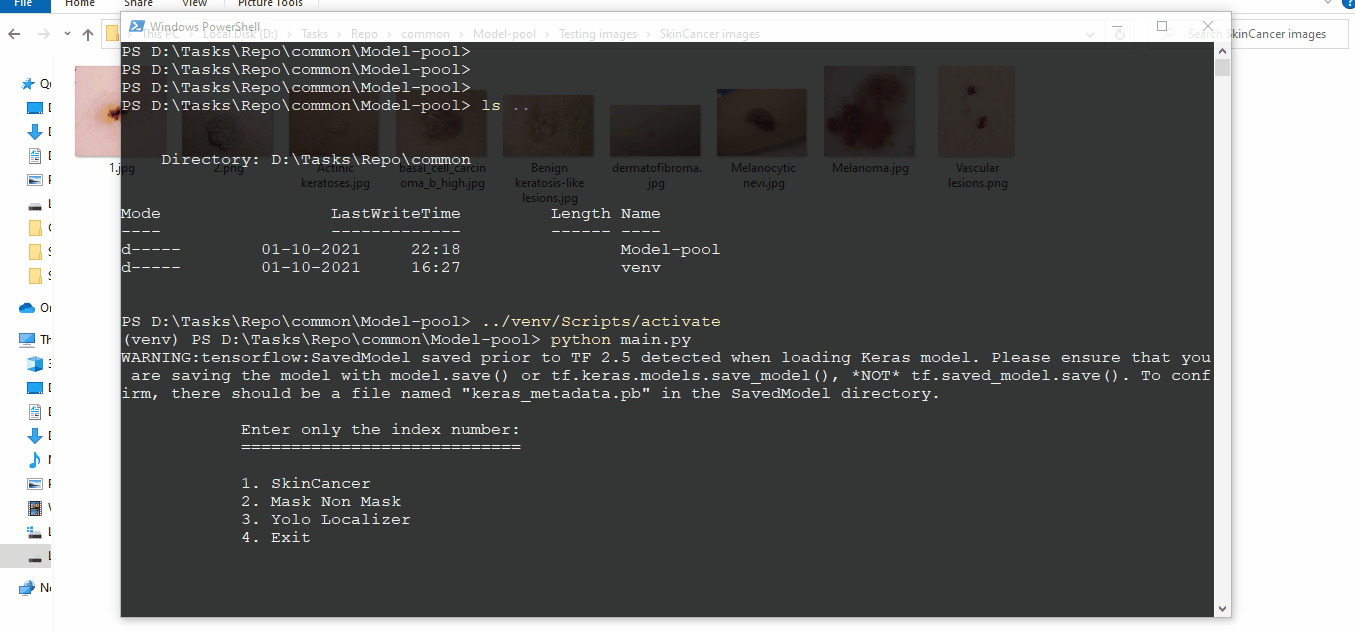 GitHub - HOTSONHONET/Model-pool