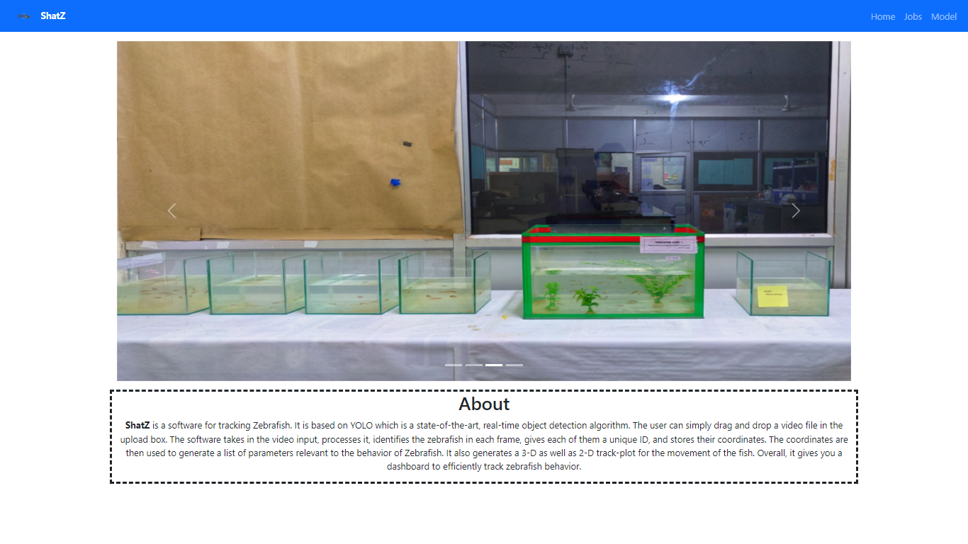 GitHub - HOTSONHONET/Zebra-Fish-Tracker