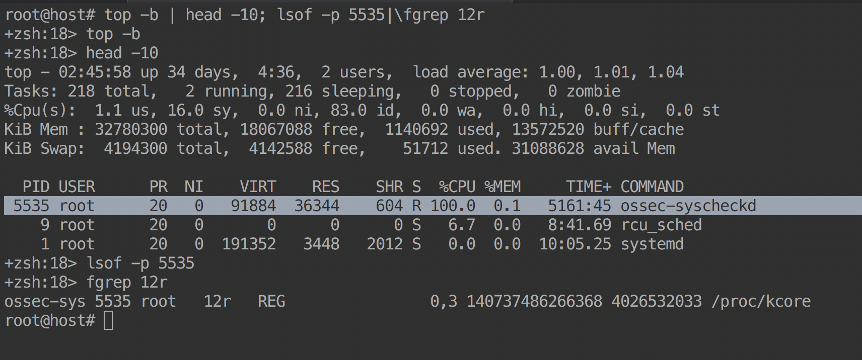 Ossec Syscheckd 100 Cpu Forever On Reading Proc Kcore · Issue 1876 · Ossec Ossec Hids · Github