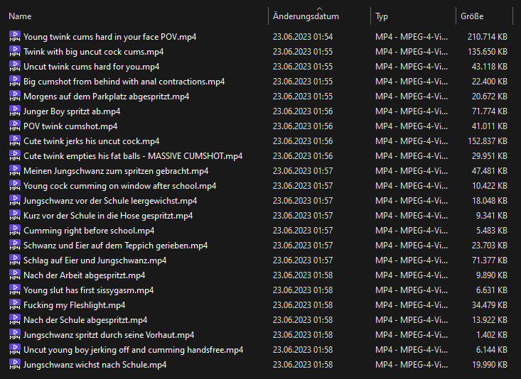 Uncomlpete xHamster downloads w/o error or LOG · Issue #149 · AAndyProgram/SCrawler · GitHub