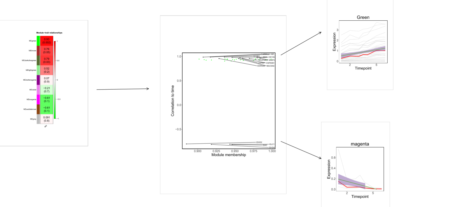 Few issues encountered in tutorial · Issue #21 · smorabit/hdWGCNA · GitHub