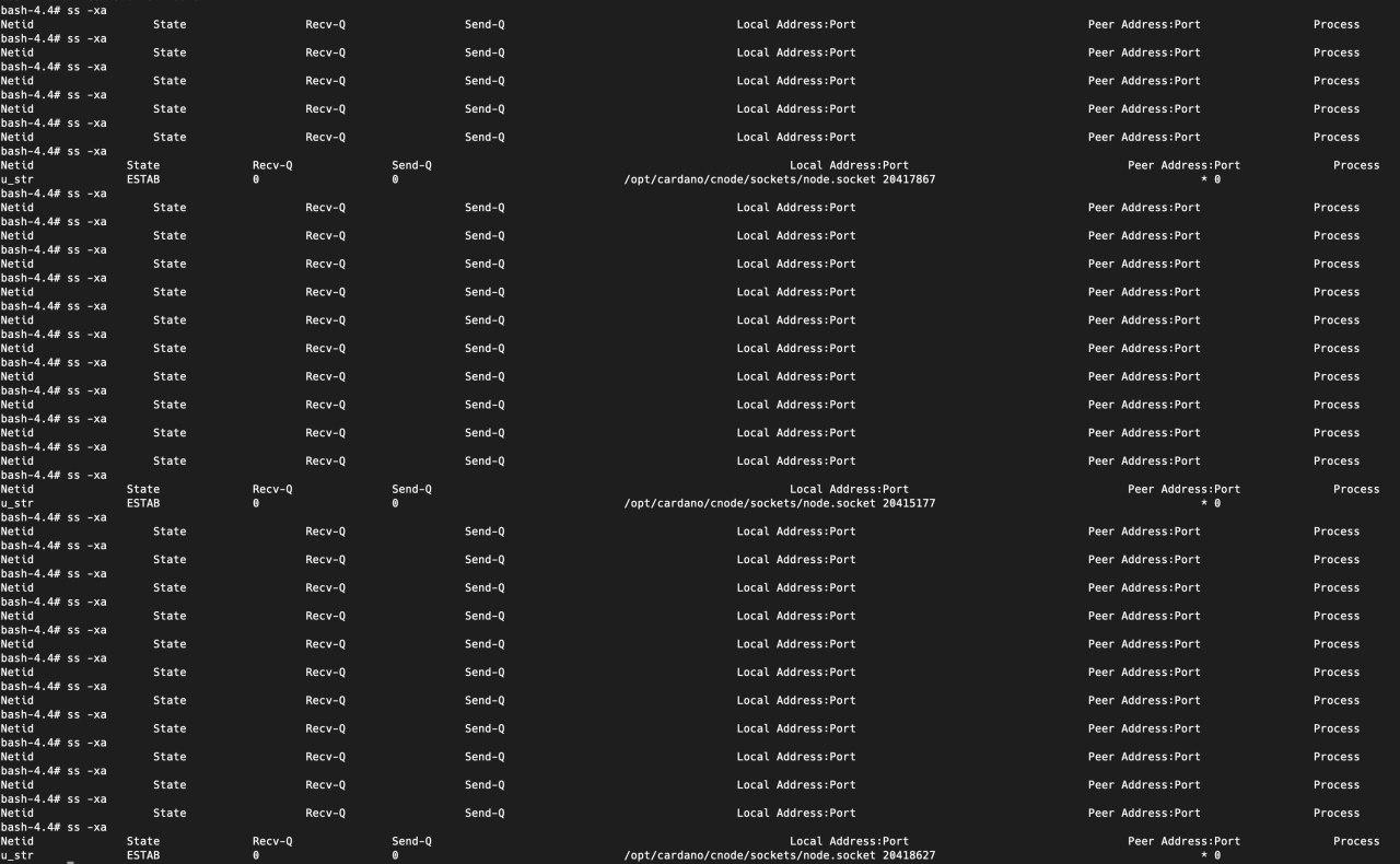 Docker Db Sync Looses Connection With Nodesocket Entering In A Failing Loop · Issue 984