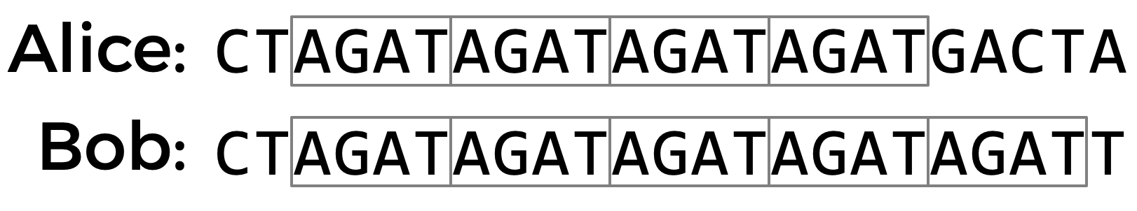 GitHub - codeslap/DNA-Profiler: Matching DNA sequences to a database of ...