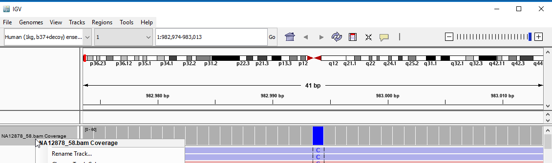 Coverage track autoscaling not working intially when using port · Issue #925 · igvteam/igv · GitHub