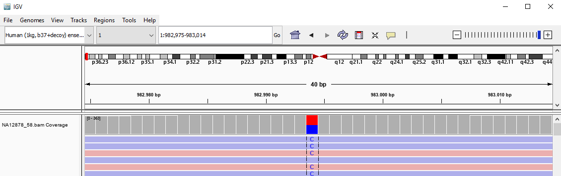 Coverage track autoscaling not working intially when using port · Issue #925 · igvteam/igv · GitHub