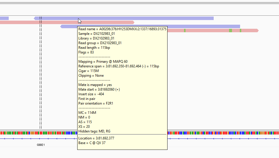 Read details missing in paired-end mode · Issue #1003 · igvteam/igv · GitHub