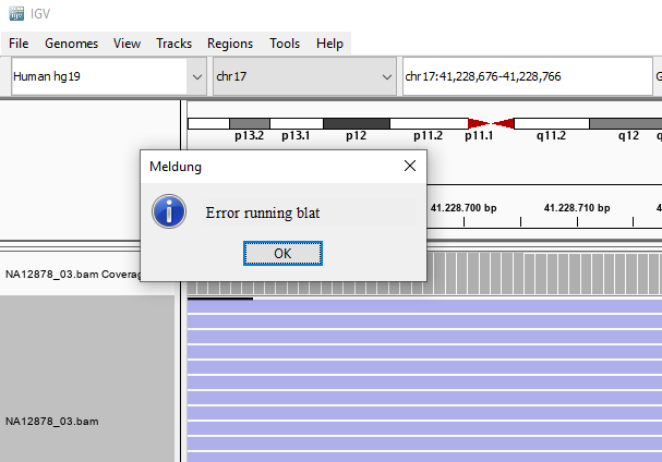 BLAT search not working · Issue #1062 · igvteam/igv · GitHub