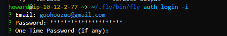 How to perform sign-in using flycli on a headless server? · Issue #359 · superfly/flyctl · GitHub