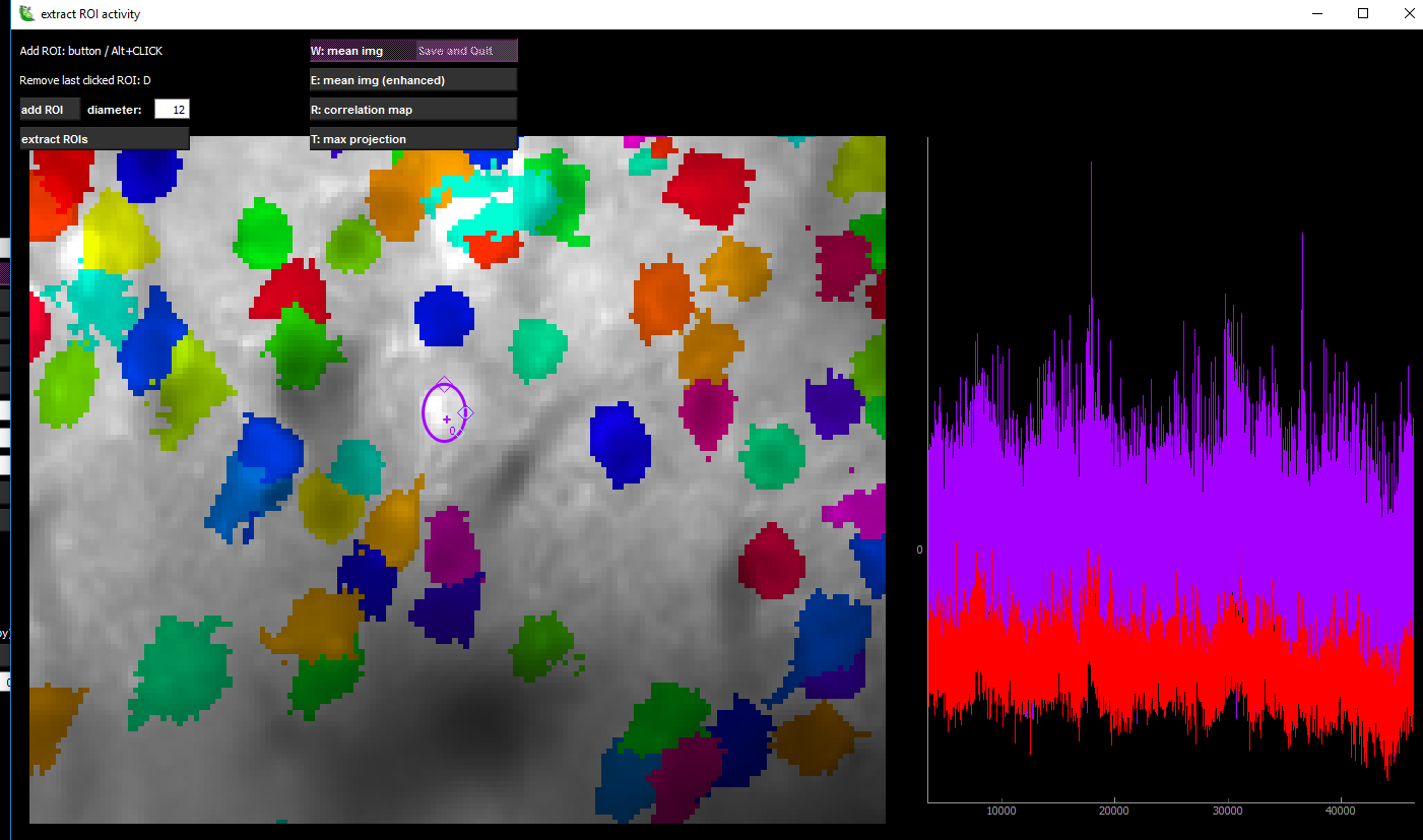 Manual labelling save path · Issue #253 · MouseLand/suite2p · GitHub