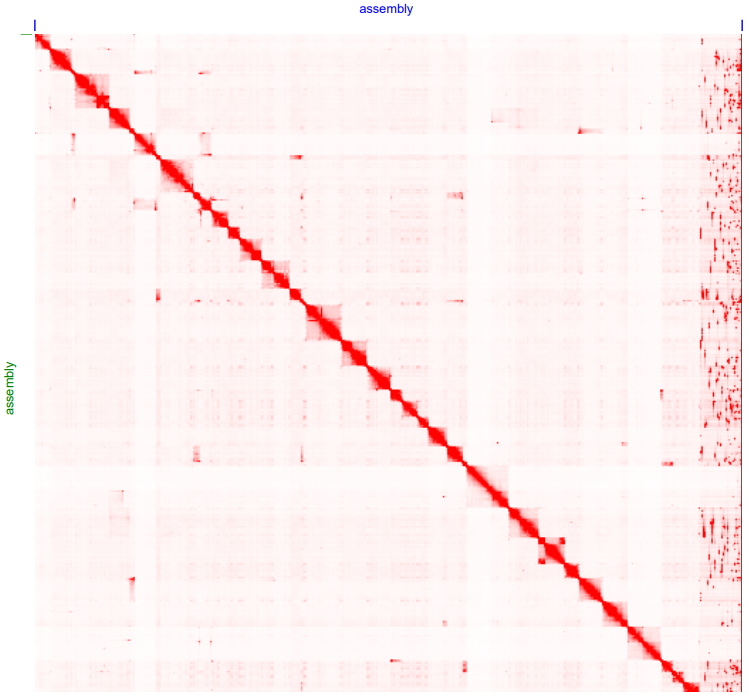 Broken pipe in finalize step - 2. Make a dd insertion · Issue #117 · aidenlab/3d-dna · GitHub