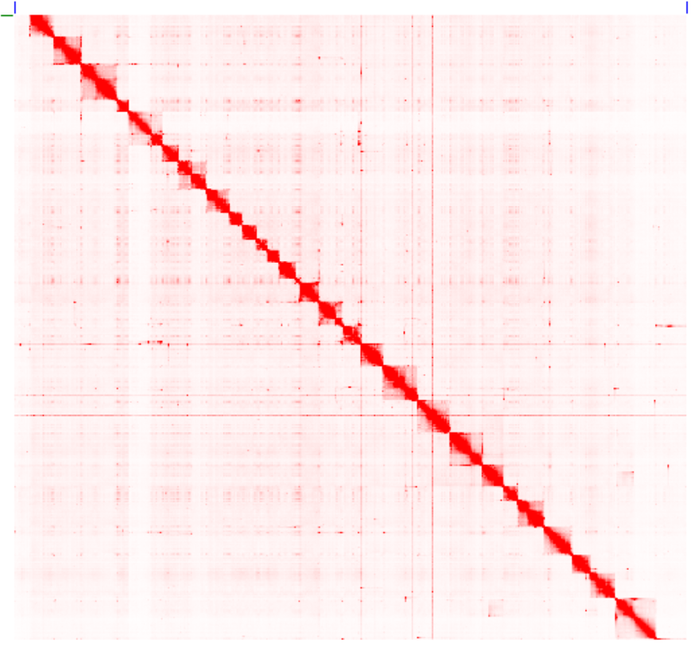 Possible sam header conversion in sam_to_pre when working with 3d-DNA ...