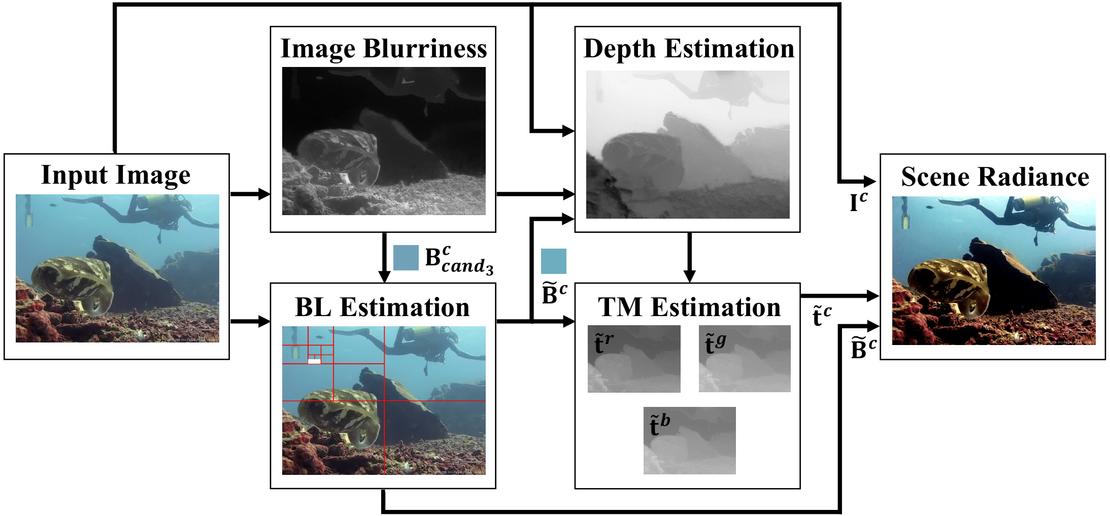 GitHub - ytpeng-aimlab/Underwater-Image-Restoration-based-on-Image-Blurriness-and-Light-Absorption