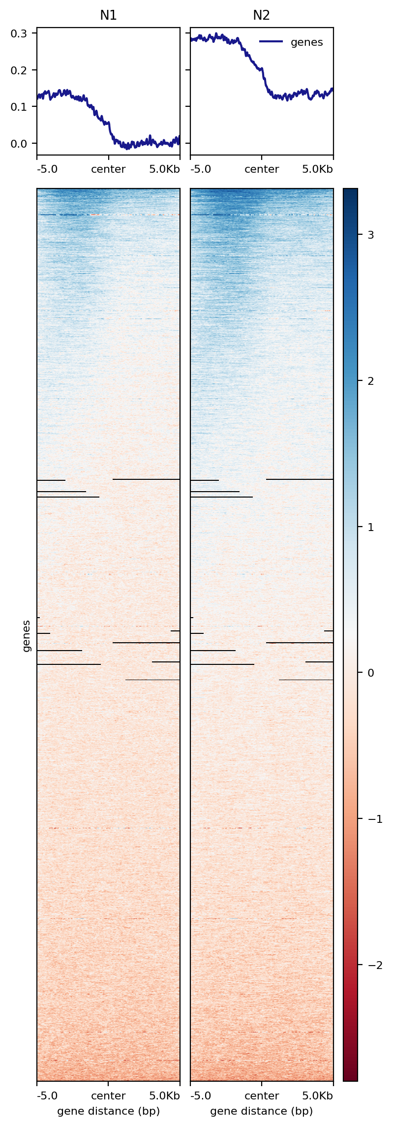 Skewed heatmap for the ChIP-seq peaks when plotting w.r.t the reference ...