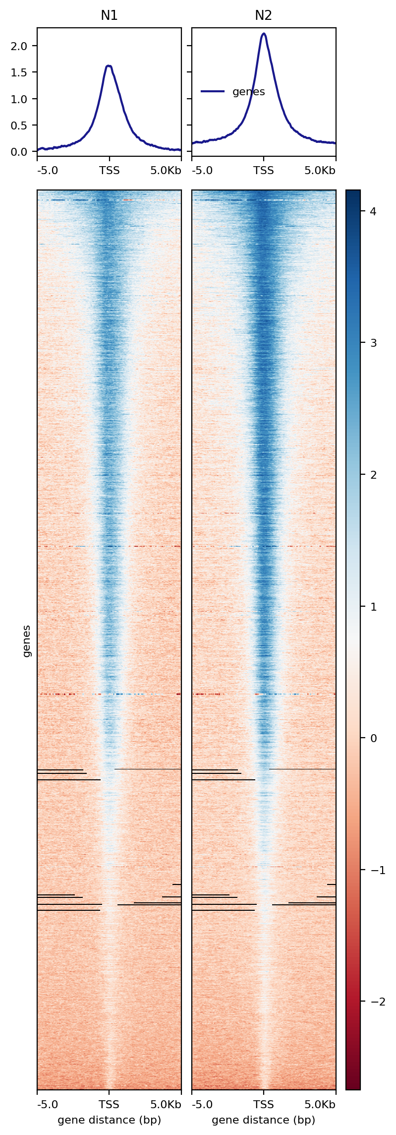 Skewed heatmap for the ChIP-seq peaks when plotting w.r.t the reference ...