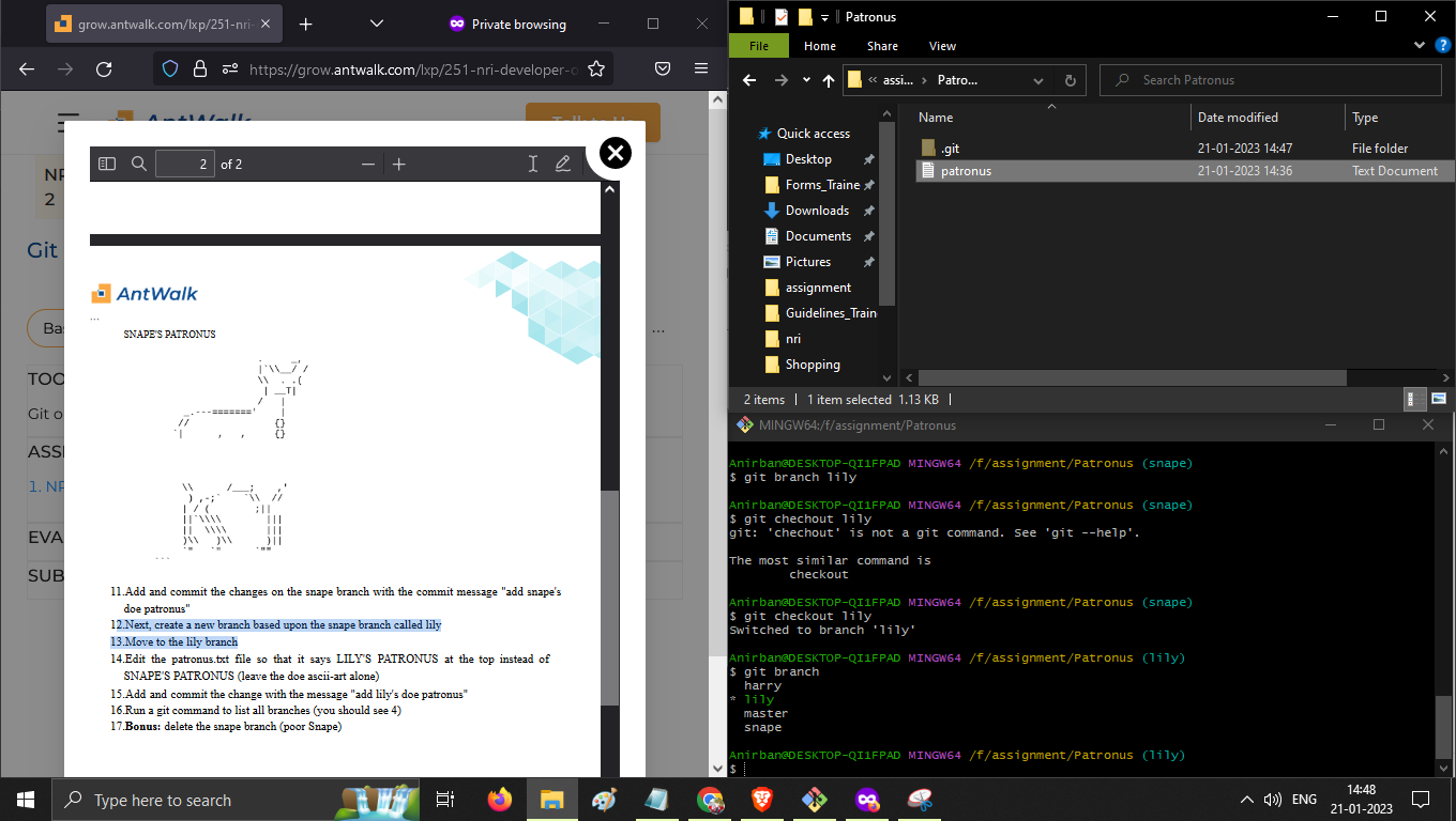 GitHub - MayukhBR13/Assignment-Git-branching-project-