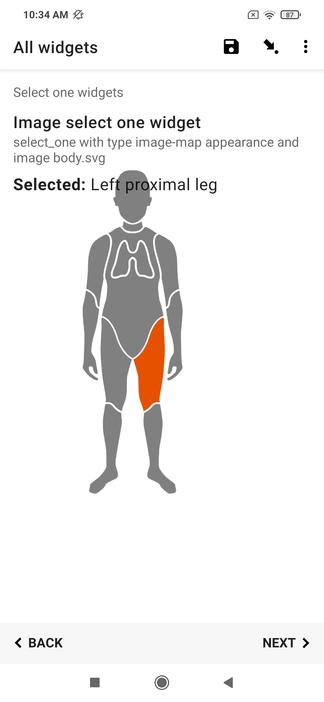 Answer showed in the wrong place in select one/multiple widget with image-map appearance · Issue ...