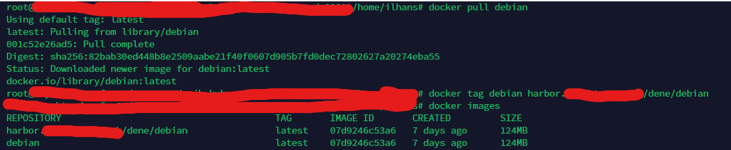 Push Image Error · Issue 17361 · Goharborharbor · Github 1045