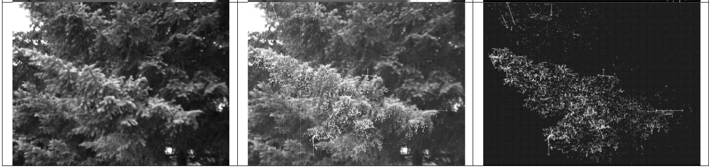 GitHub - ApoorvaSrivastav/Optical-Flow