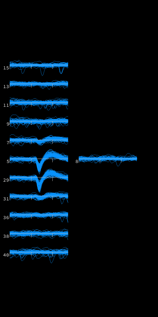 waveform view scaling difference between raw and mean or template · Issue #908 · cortex-lab/phy ...