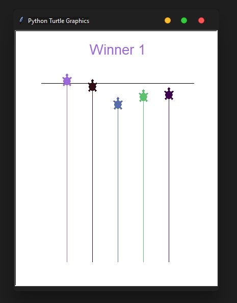 GitHub - tommaso-caputi/python-turtle-race