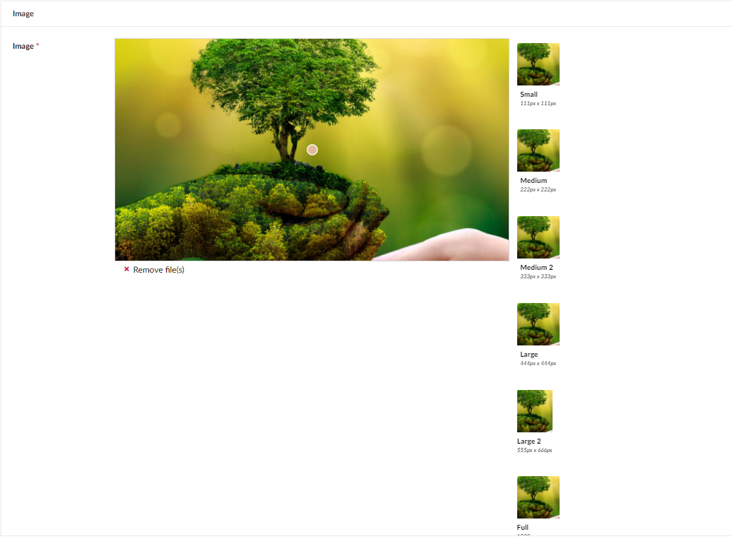 Umbraco style changes (image cropper, form answer types) · Issue #10876 · umbraco/Umbraco-CMS ...