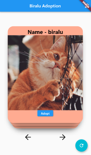 GitHub - sisirpdl/Biralu-Adoption