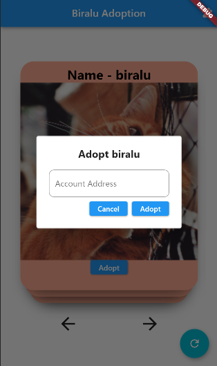 GitHub - sisirpdl/Biralu-Adoption