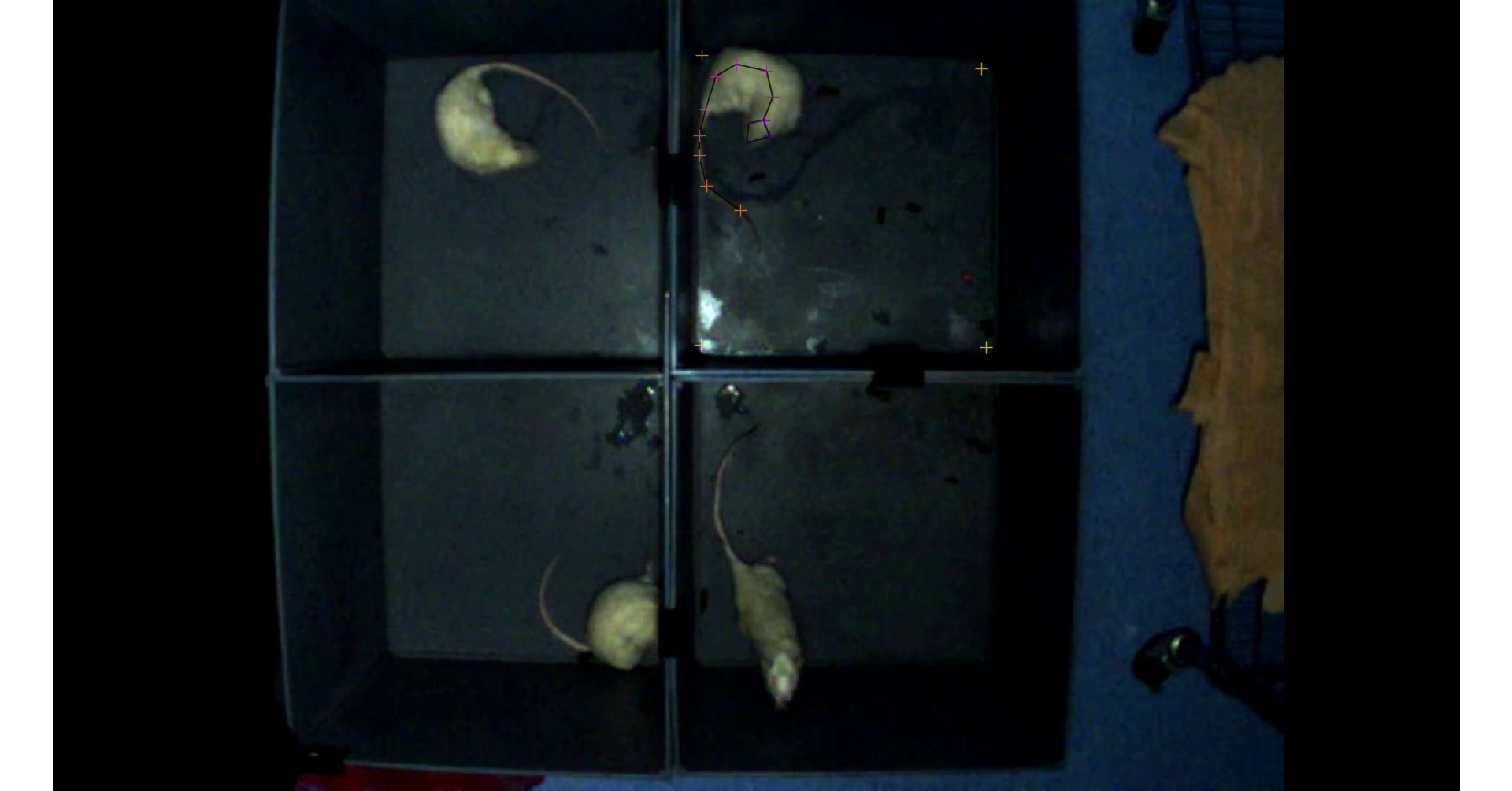 egocentric_alignment = ValueError: array of sample points is empty · Issue #56 ...