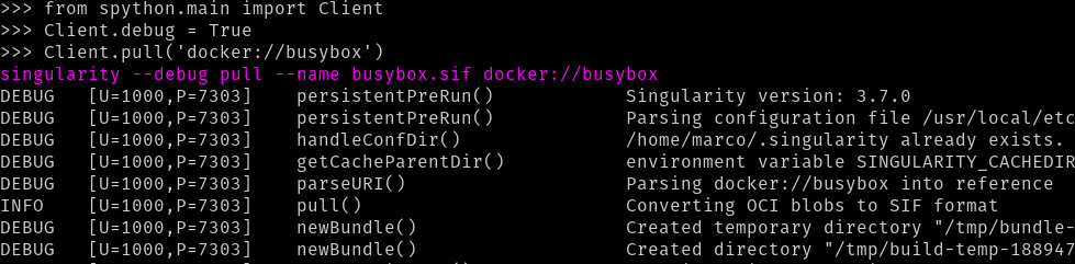 Executing command using spython needs --cleanenv flag, while it's not necessary using ...