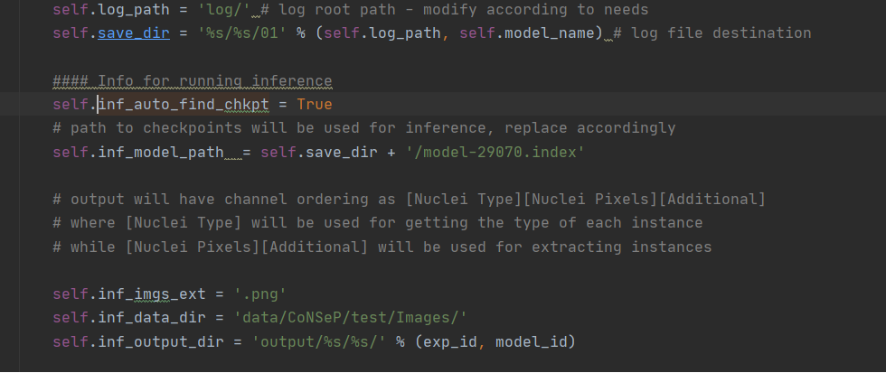 can't run infer.py well · Issue #61 · vqdang/hover_net · GitHub