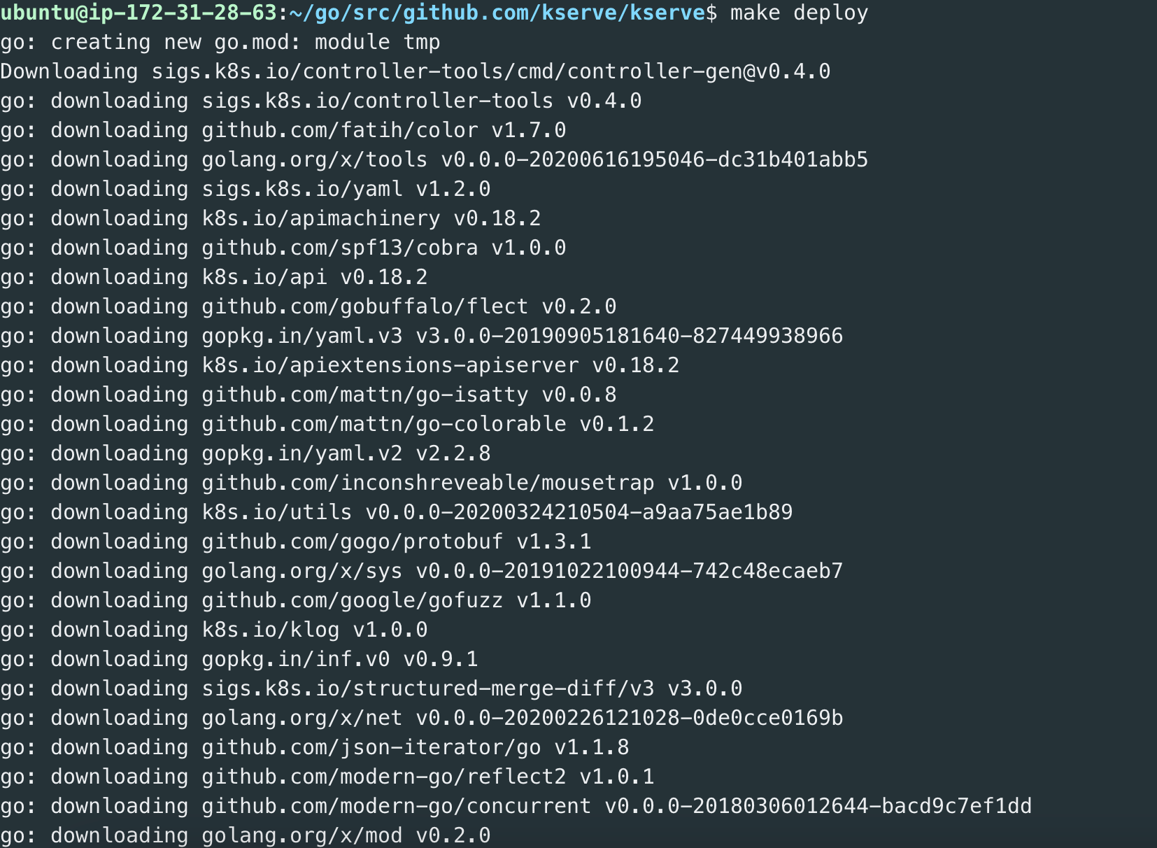 Problems with go when deploying Kserve in my development environment · Issue #2422 · kserve ...