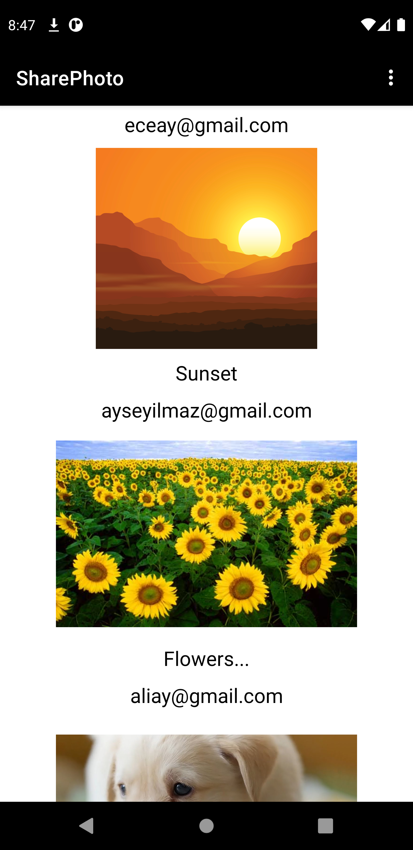 GitHub - jungwonhak/SharePhoto-Firebase: A photo sharing app made with Firebase.