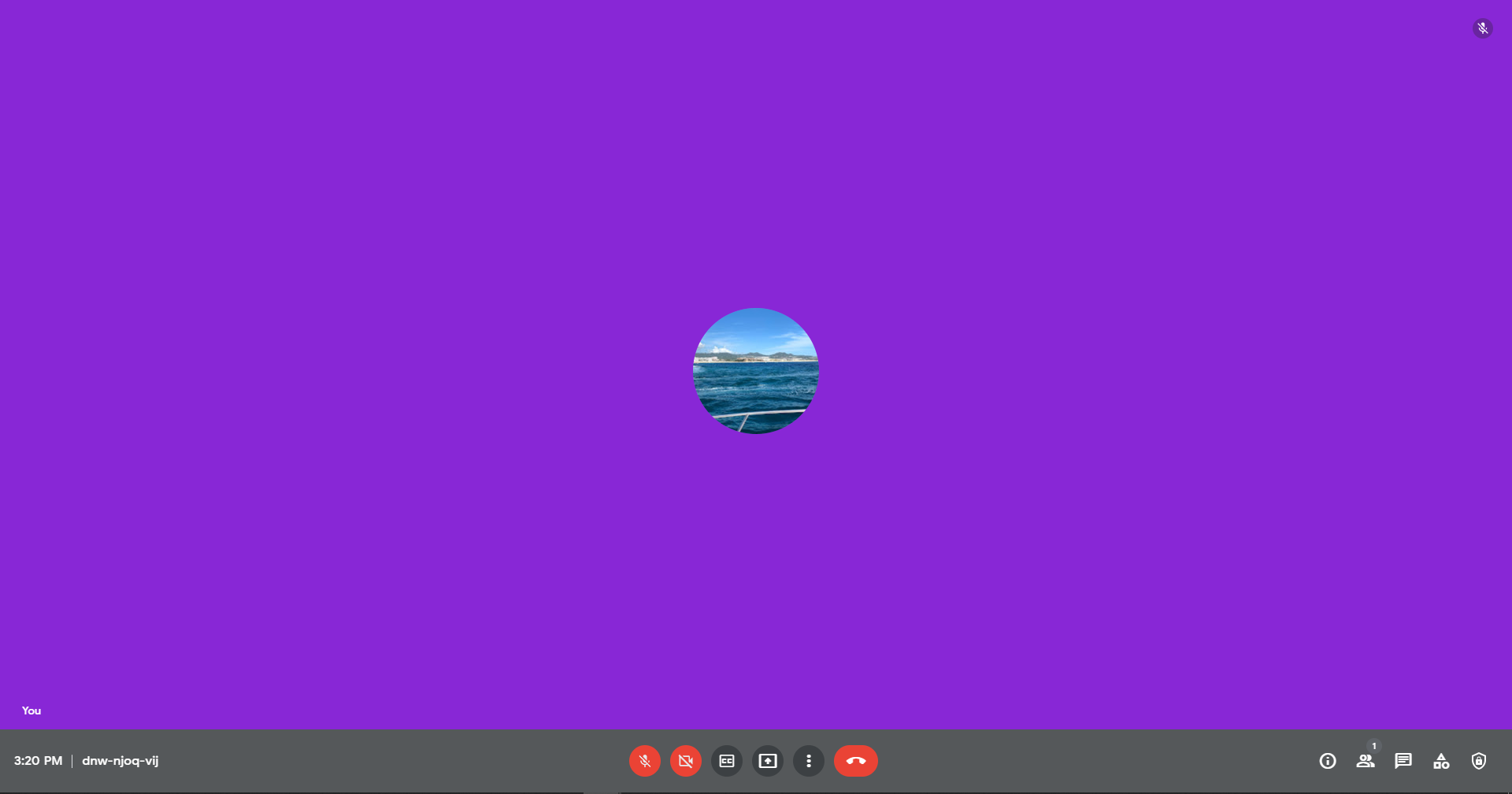 GitHub - aidanhuangg/GoogleMeet-Themes: Color themes for the new Google ...