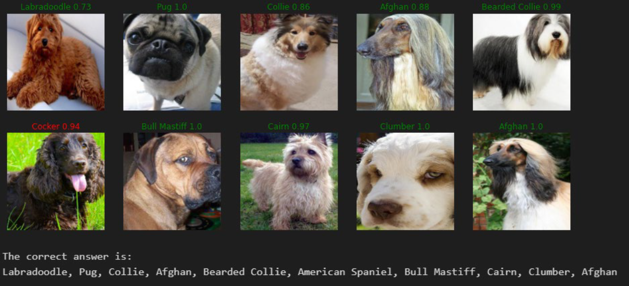 GitHub - zhqwq/dog-identifier: Dog Identifier App based on ResNet and React Native 🐕