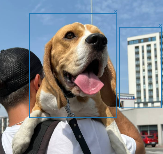 Multiple Boxes as prompt · Issue #381 · facebookresearch/segment ...