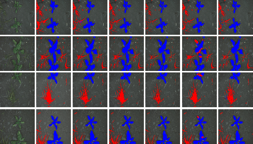 GitHub - kabbas570/CED-Net-Crops-and-Weeds-Segmentation-for-Smart-Farming-Using-a-Small-Cascaded ...