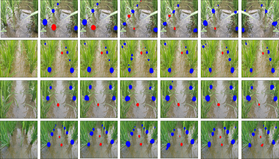 GitHub - kabbas570/CED-Net-Crops-and-Weeds-Segmentation-for-Smart-Farming-Using-a-Small-Cascaded ...