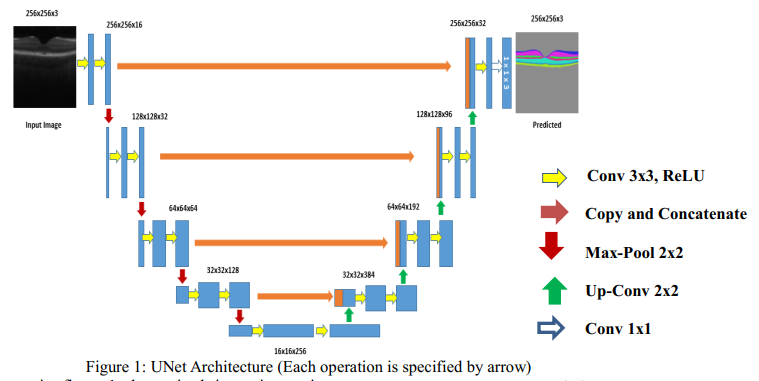 GitHub - kabbas570/Retinal-Layers-segmentation-to-analyzie-retinal ...