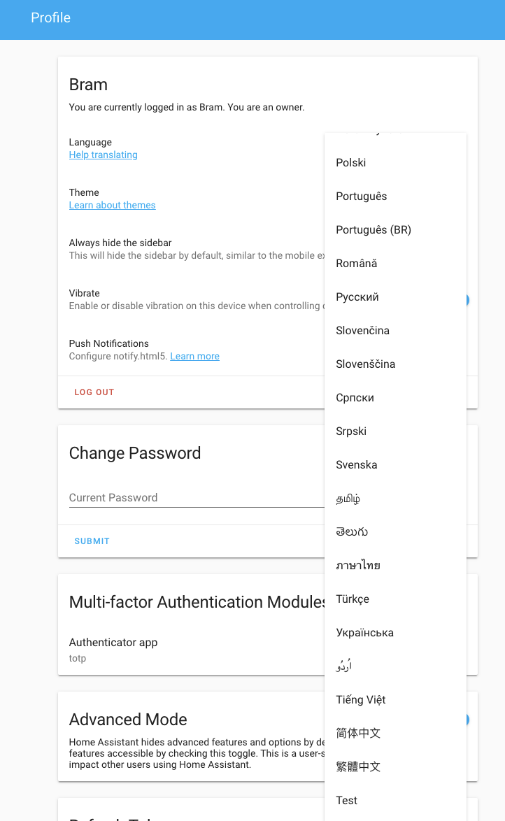 Translate all the strings · Issue #3429 · home-assistant/frontend · GitHub