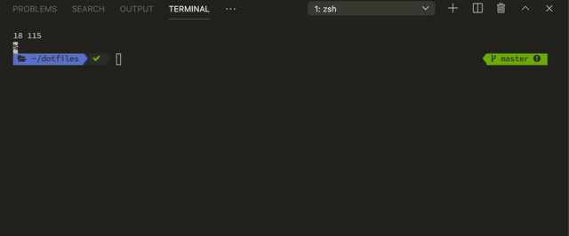 Inconsistent terminal size causing partial line/blank line at the top ...