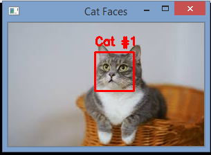 GitHub - PatornJantara/cat_face_detection_using_haarcascade