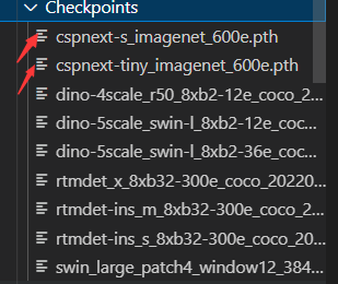 About the checkpoint problem of CSPNeXt in RetNet · Issue #10686 · open-mmlab/mmdetection · GitHub